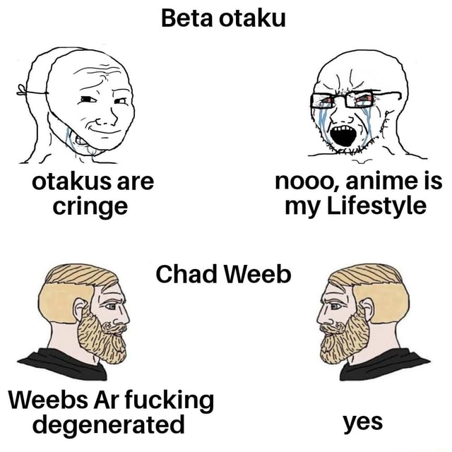 Beta otaku SS me otakus are nooo, anime is cringe my Lifestyle Chad ...