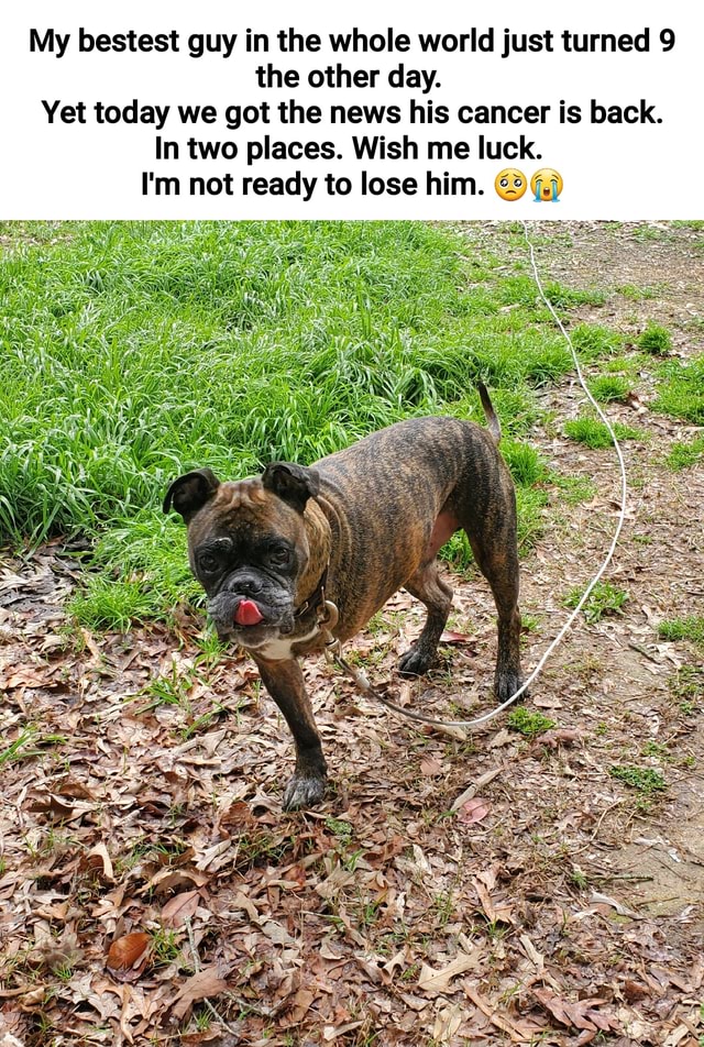 My bestest guy in the whole world just turned 9 the other day. Yet ...
