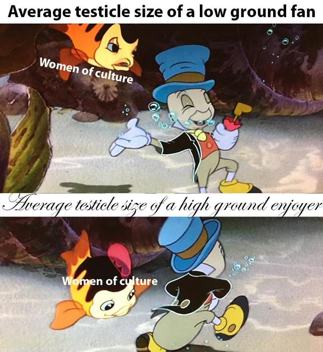 Average testicle size of a low ground fan Wo Men OF cUlture of high ...