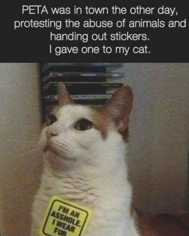 PETA was in town the other day, protesting the abuse of animals and ...