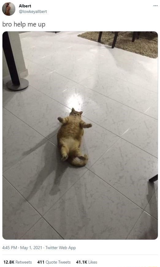 Bro help me up May 1, 2 12.8K Retw - iFunny