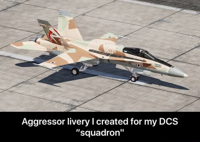 Aggressor livery I created for my DCS "squadron" - Aggressor livery I ...