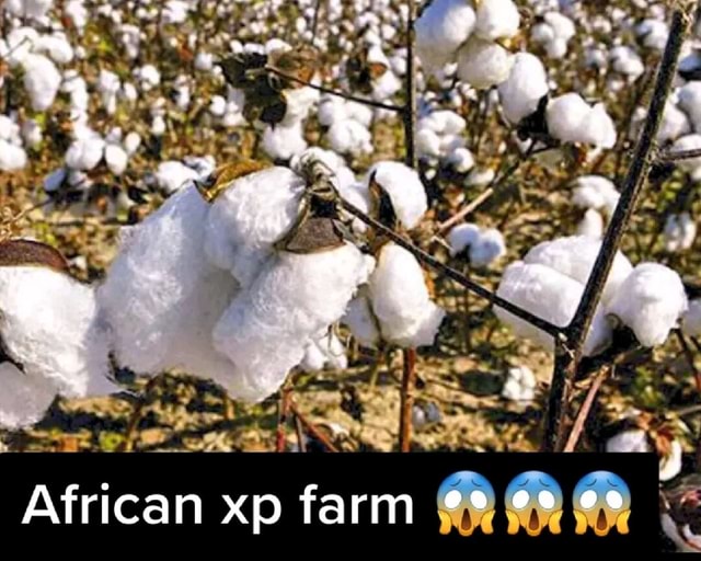 African xp farm - iFunny