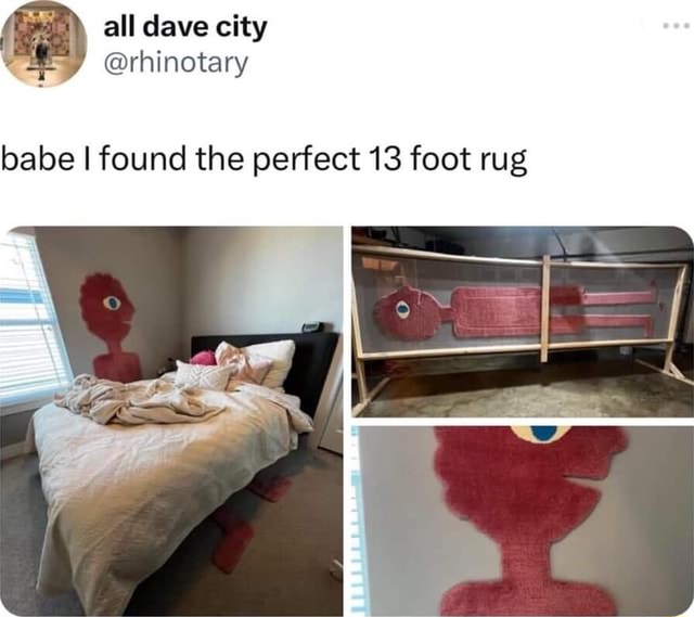 All dave city @rhinotary babe I found the perfect 13 foot rug - iFunny