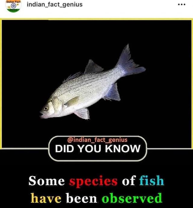 Indian_fact_genius @indian_fact_genius DID YOU KNOW Some specics of ...