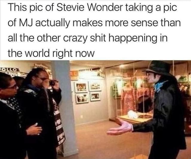 This pic of Stevie Wonder taking a pic of MJ actually makes more sense ...