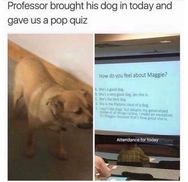 Professor brought his dog in today and gave us a pop quiz How do you feel about Maggie? an ...