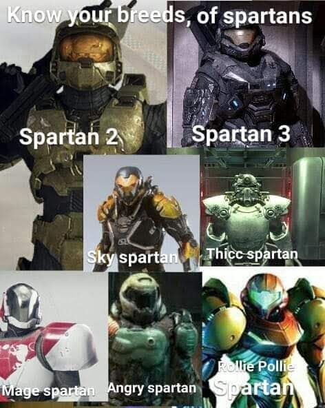 Know your breeds, of spartans Spartan 2. Spartan 3 Sky sparta Thice ...