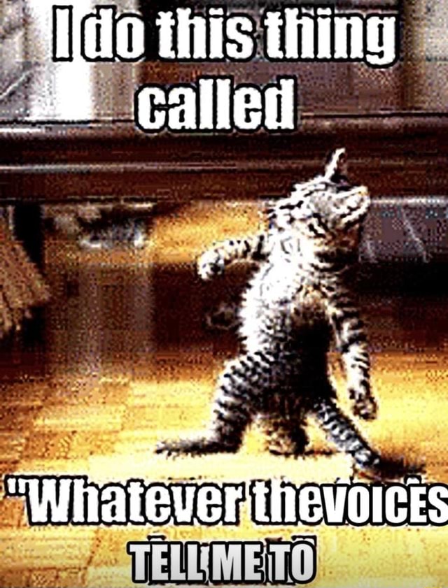 Ho this thing called "Whatever'thevoicts - iFunny