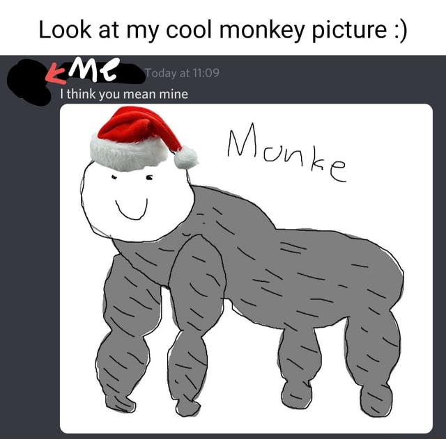 Look at my cool monkey picture ay at Me I think you mean mine - iFunny