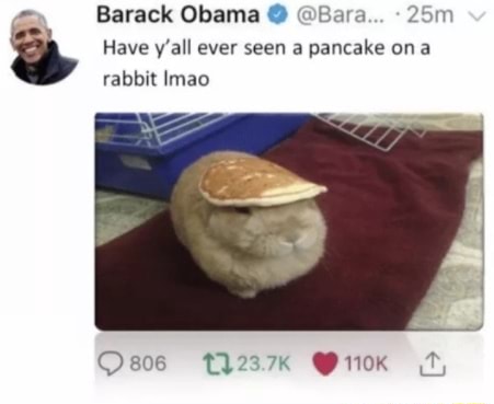 Barack Obama @ @Bara... Have y'all ever seen a pancake ana rabbit Imao ...