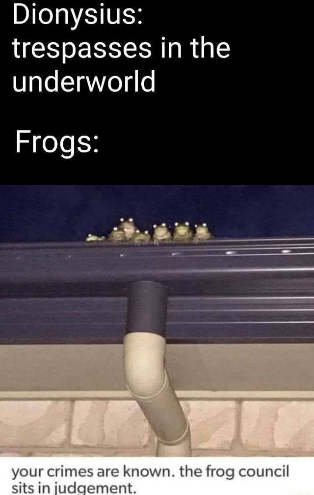 Dionysius: trespasses in the underworld Frogs: your crimes are known ...