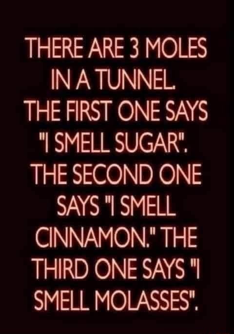 THERE ARE 3 MOLES IN TUNNEL THE FIRST ONE SAYS "I SMELL SUGAR" THE ...
