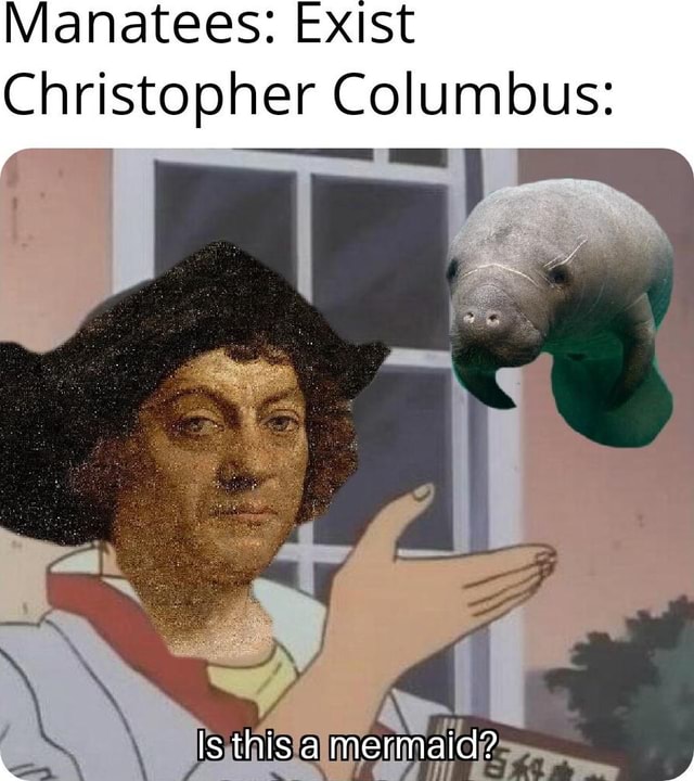Manatees: Exist Christopher Columbus: Is this a mermaid? - iFunny