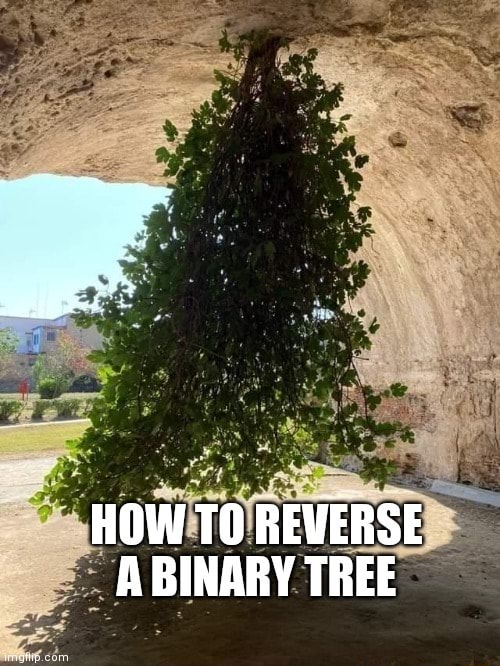HOW TO REVERSE A BINARY TREE - iFunny