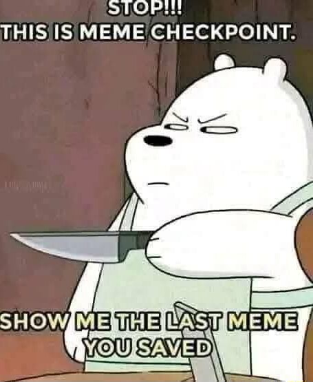 THIS IS MEME CHECKPOINT. - iFunny