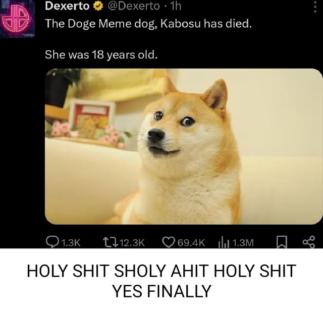 Dexerto @Dexerto th The Doge Meme dog, Kabosu has died. She was 18 ...