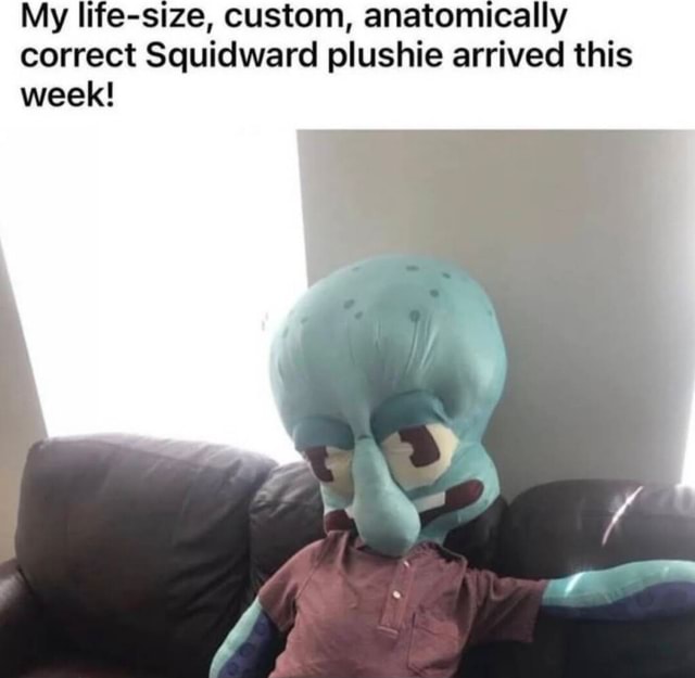 My life-size, custom, anatomically correct Squidward plushie arrived ...