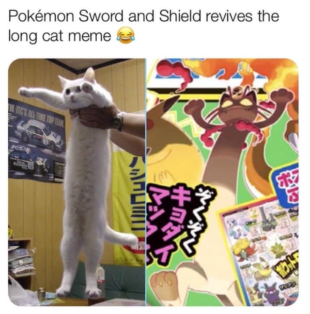 Pokémon Sword and Shield revives the long cat meme © - iFunny