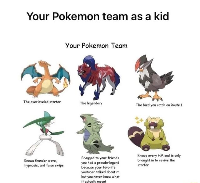 Your Pokemon team as a kid Your Pokemon Team The overleveled starter ...