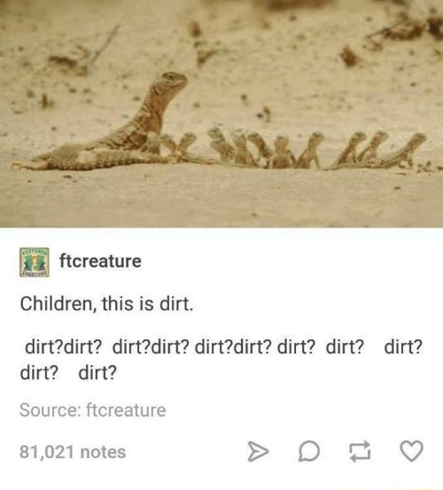 Children, this is dirt. dirt?dirt? dirt?dirt? dirt?dirt? dirt? dirt ...