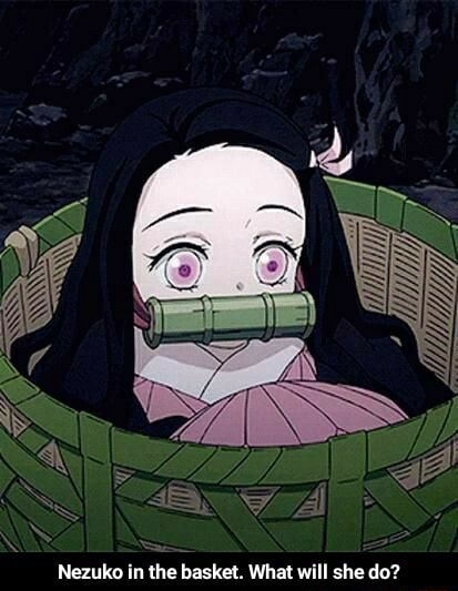 Nezuko in the basket. What will she do? - Nezuko in the basket. What ...