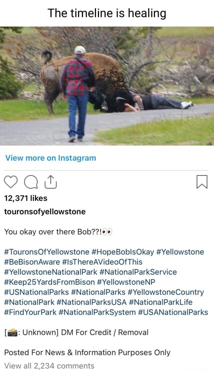 The timeline is healing View more on Instagram 12,371 likes ...