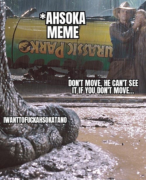 MEME DONT HE CANT SEE - iFunny