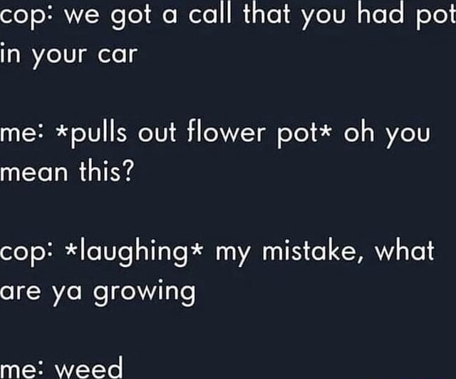 Cop: we got a call that you had pot in your car me: *pulls out flower ...