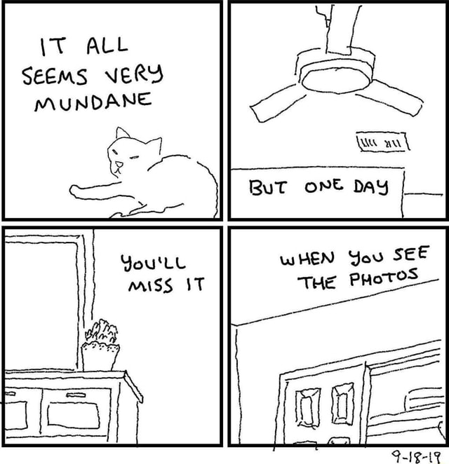 LL \T ALL Seems VERY MUNDANE BuT ont DAY WHEN You SEE You'LL MISS IT ...