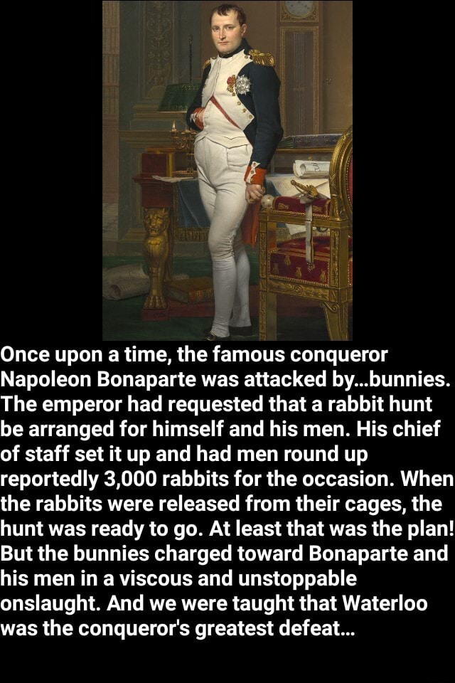 Once upon a time, the famous conqueror Napoleon Bonaparte was attacked ...