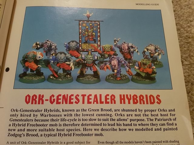 MODELLING GUIDE ORK-GENESTEALER HYBRIDS Ork-Genestealer Hybrids, known ...