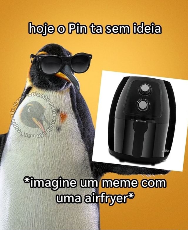 Hoje o Pin ta sem ideia *imagine um meme com uma airfryer* - iFunny Brazil