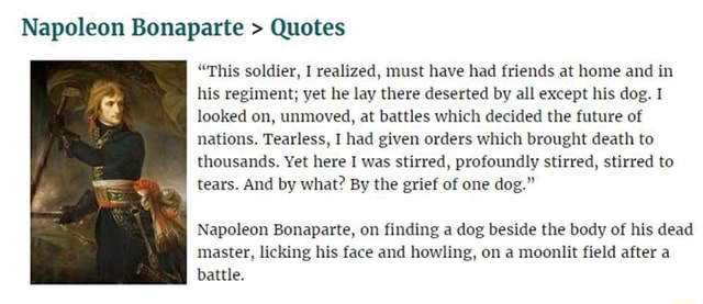 Napoleon Bonaparte Quotes “This soldier, I realized, must have had ...