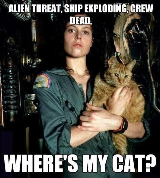Random Meme Dump 125 - ALIEN THREAT, SHIP EXPLODING. CREW EAD, WHERE'S ...