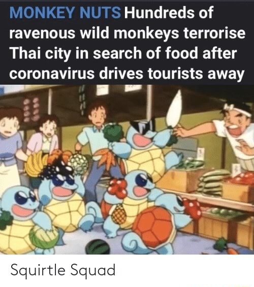 MONKEY NUTS Hundreds of ravenous wild monkeys terrorise Thai city in ...