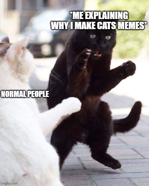 "ME EXPLAINING ' WHY MAKE GATS MEMES" - iFunny