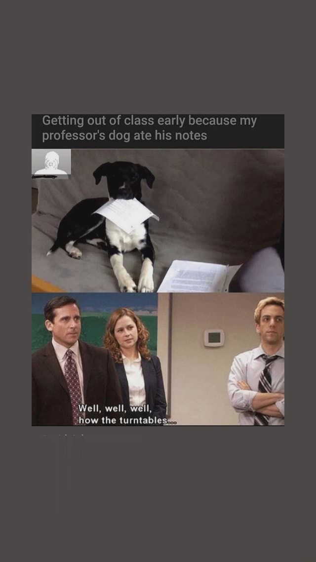 Getting out of class early because my professor's dog ate his notes ...