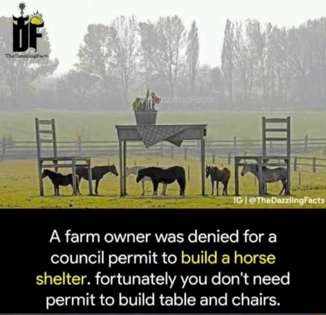 A farm owner was denied for a council permit to build a horse shelter ...