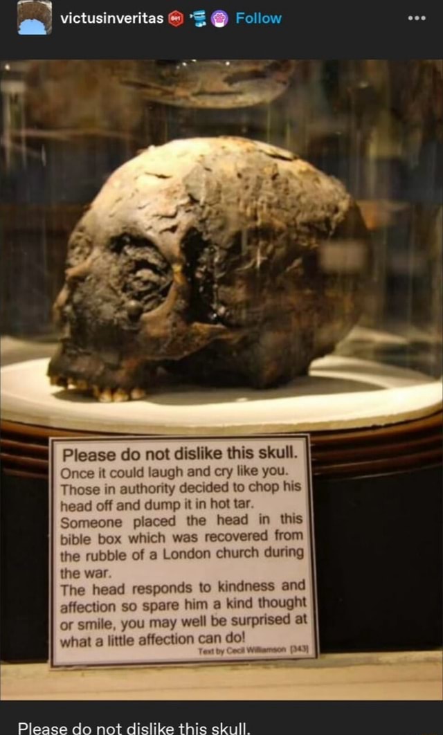 Victusinveritas @ Follow Please do not dislike this skull. Once it ...