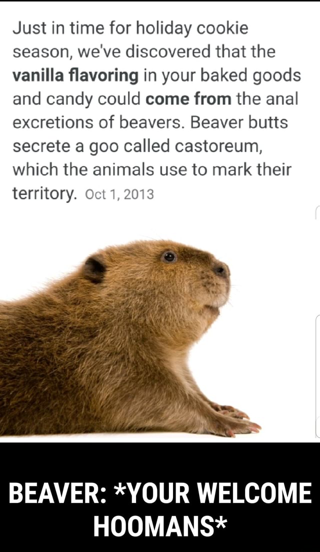 Just in time for holiday cookie season, we've discovered that the ...