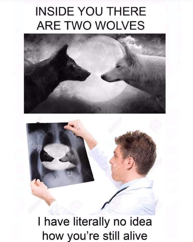 INSIDE YOU THERE ARE TWO WOLVES I have Iiterally no idea how you're ...