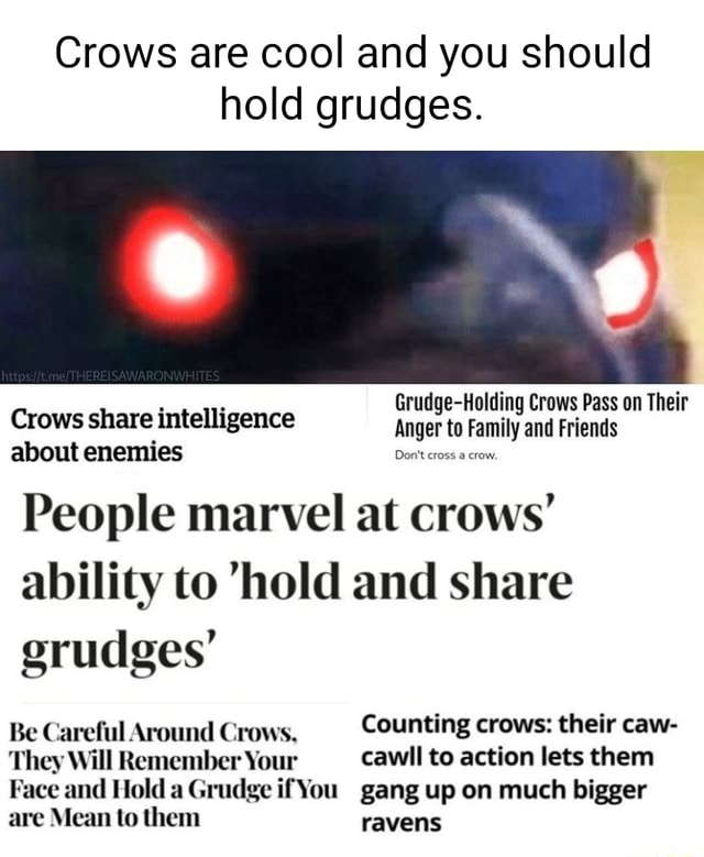 Crows are cool and you should hold grudges. Grudge-Holding Crows Pass ...