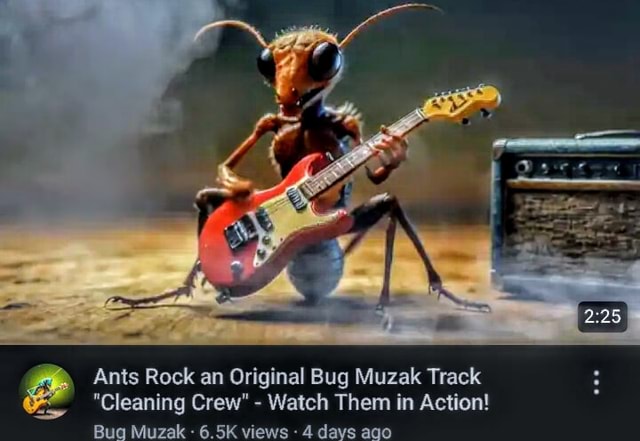 Ants Rock an Original Bug Muzak Track "Cleaning Crew" - Watch Them in ...