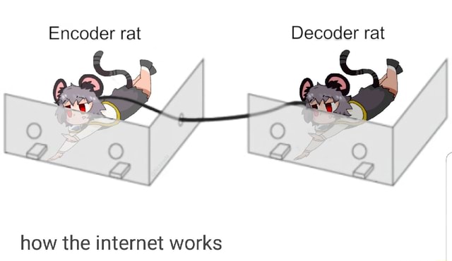 Encoder rat Decoder rat how the internet works - iFunny