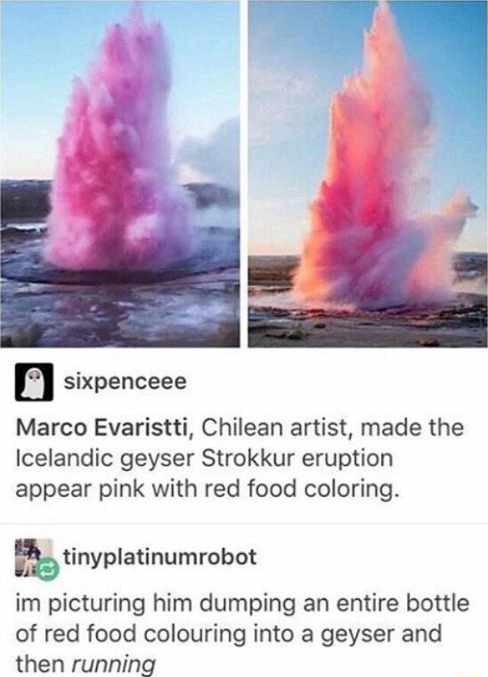 Marco Evaristti, Chilean artist, made the Icelandic geyser Strokkur ...