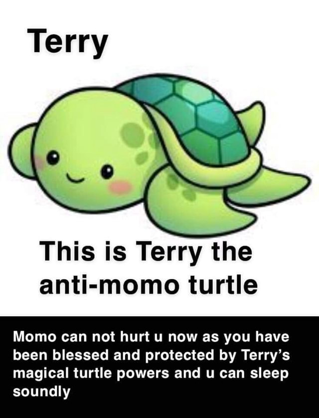 This is Terry the anti-momo turtle Momo can not hurt u now as you have ...