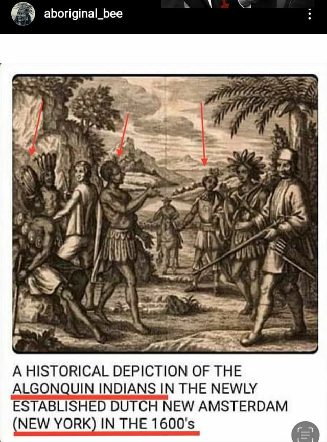 Aboriginal_bee A HISTORICAL DEPICTION OF THE ALGONQUIN INDIANS IN THE ...