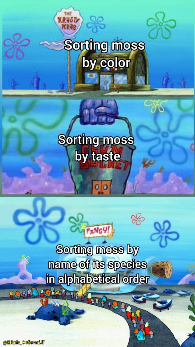 Sorting moss by color Sorting moss by taste Sortingsmoss by name'of its ...