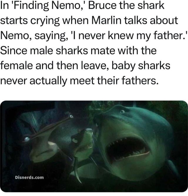 In 'Finding Nemo,' Bruce the shark starts crying when Marlin talks ...